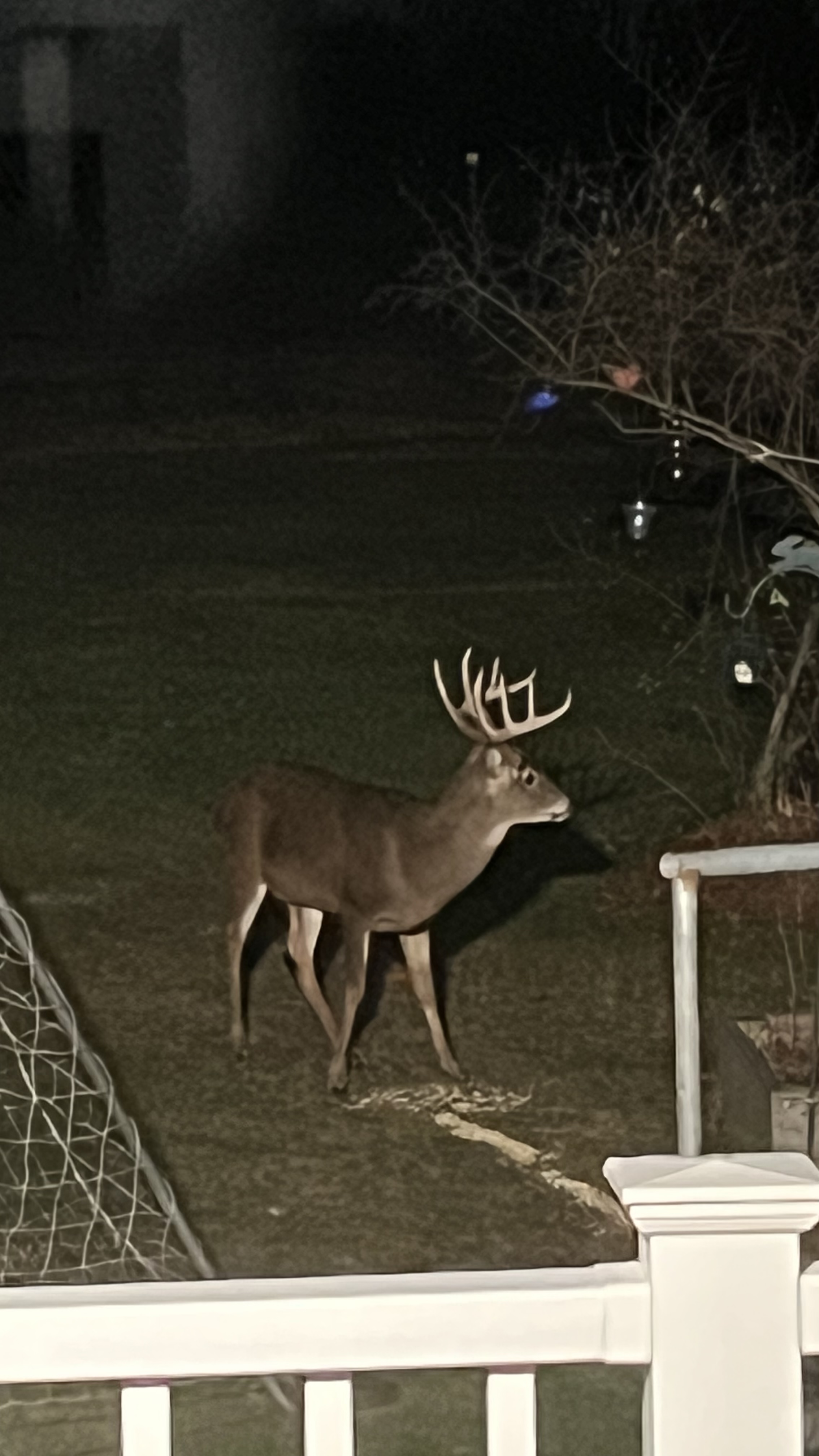 George | Guns Michigan Classifieds - Buy Sell Trade Firearms, Knives ...